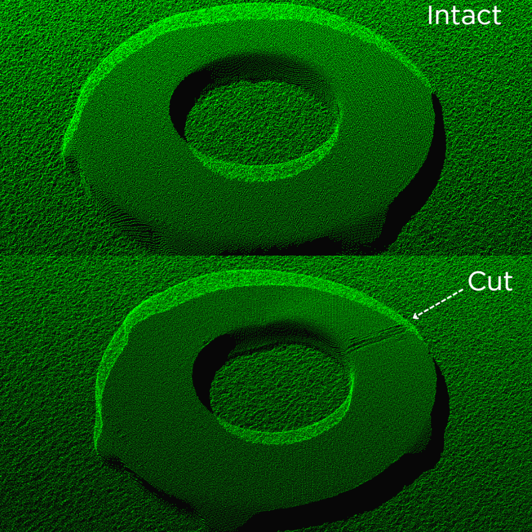Quick Guide to Create Your Visual Inspection System