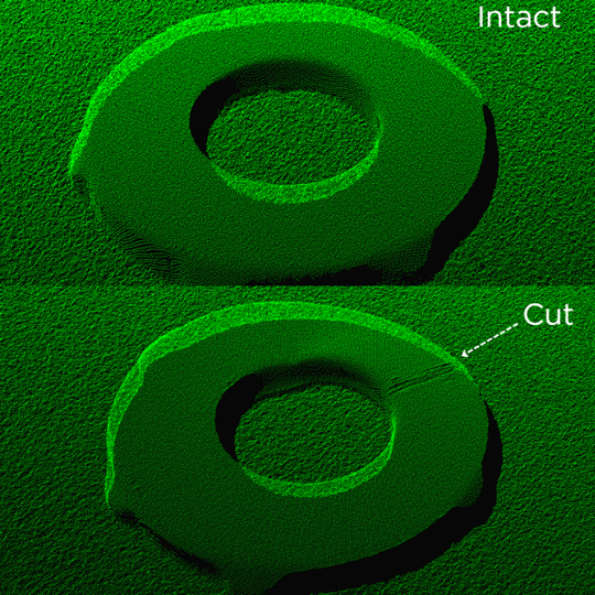 Quick Guide to Create Your Visual Inspection System